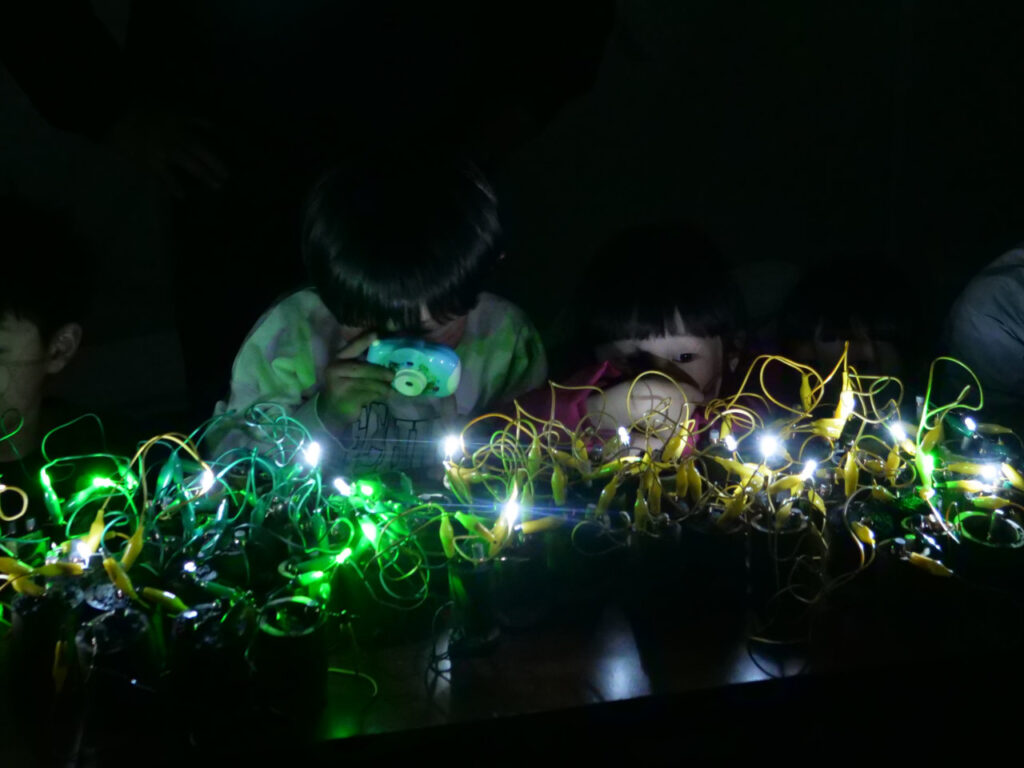 茨城県植物園にてワークショップを実施 | OFF GRID DESIGN